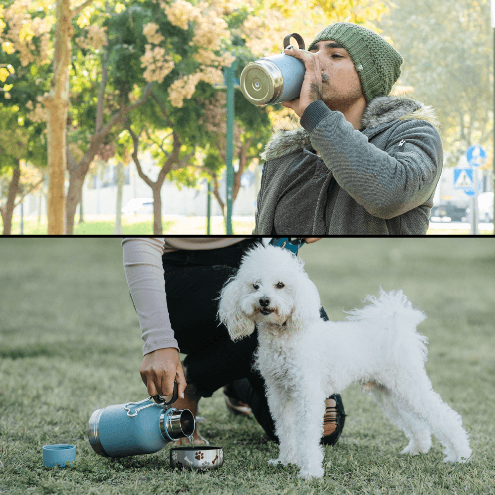 Dog Blue Bowl Bottle - Dog Water Bottle & Dog Water Dispenser | ASOBU ...