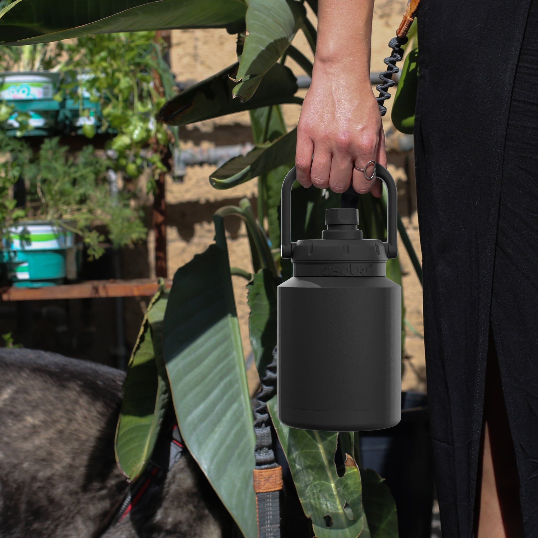 Black Mini Jug Double Wall Insulated Water Jug Asobu Asobu®